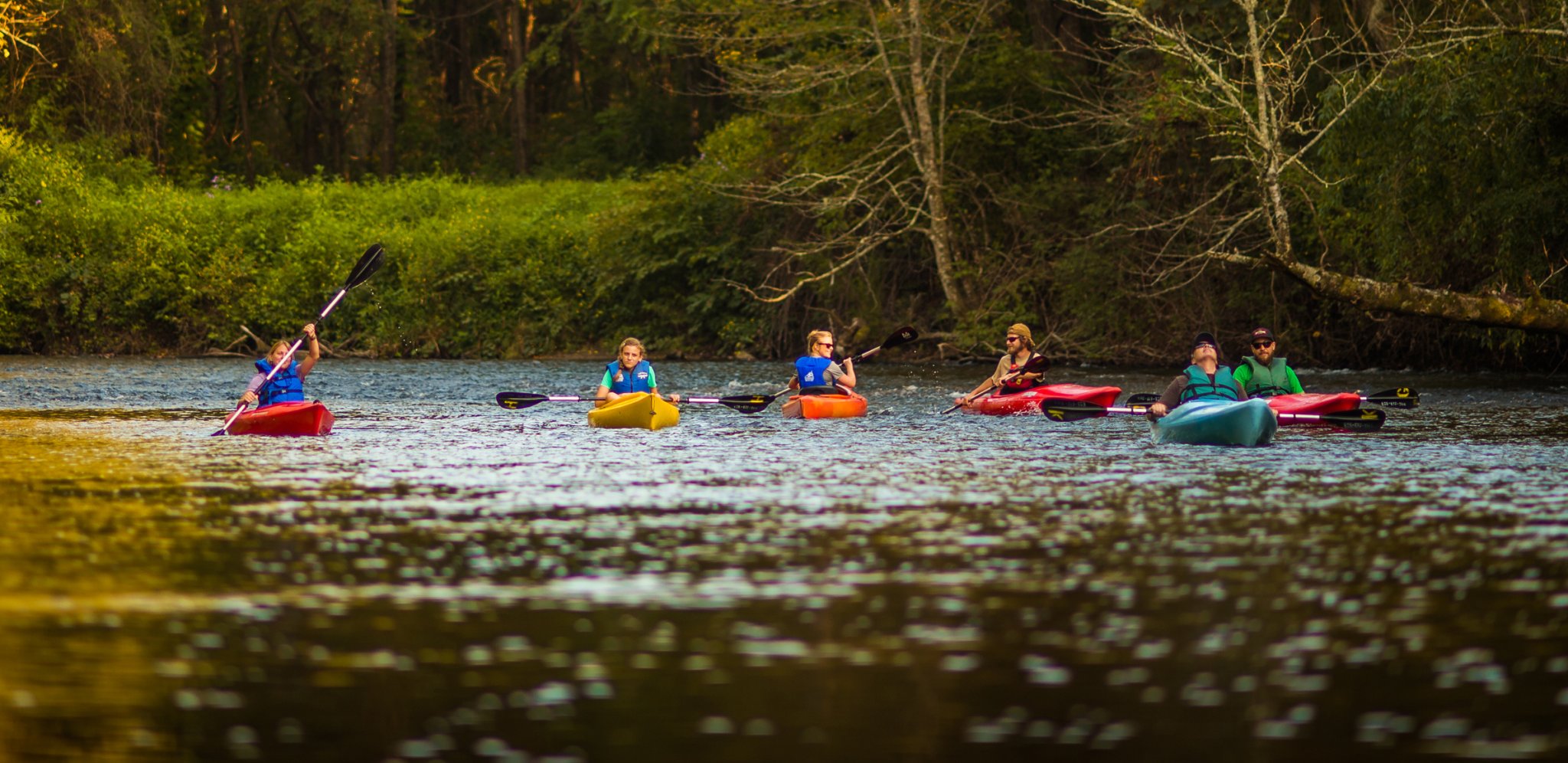 Insider's Guide To The French Broad River