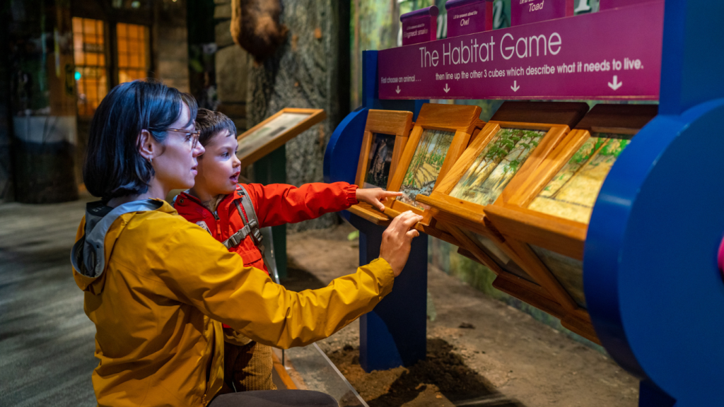 Local Experiences | Explore Brevard