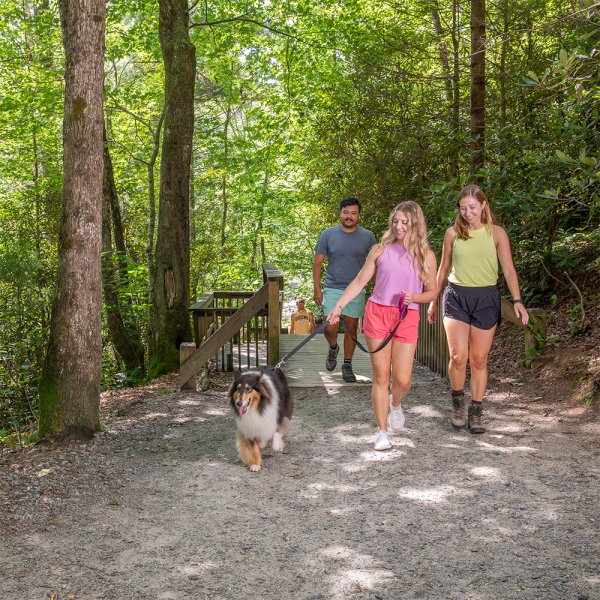Pet Friendly | Explore Brevard