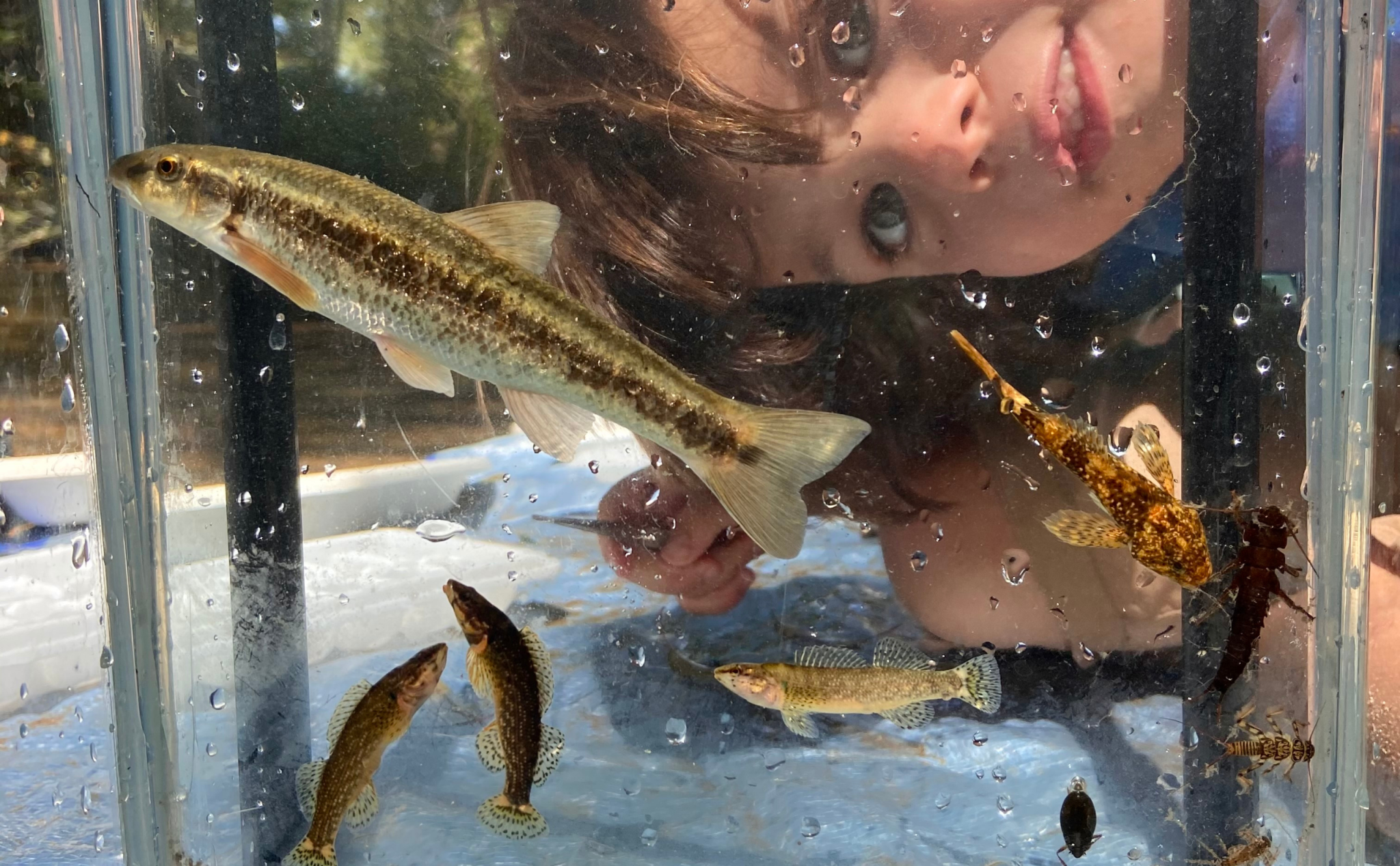 Meet The River Critters Of Brevard, NC