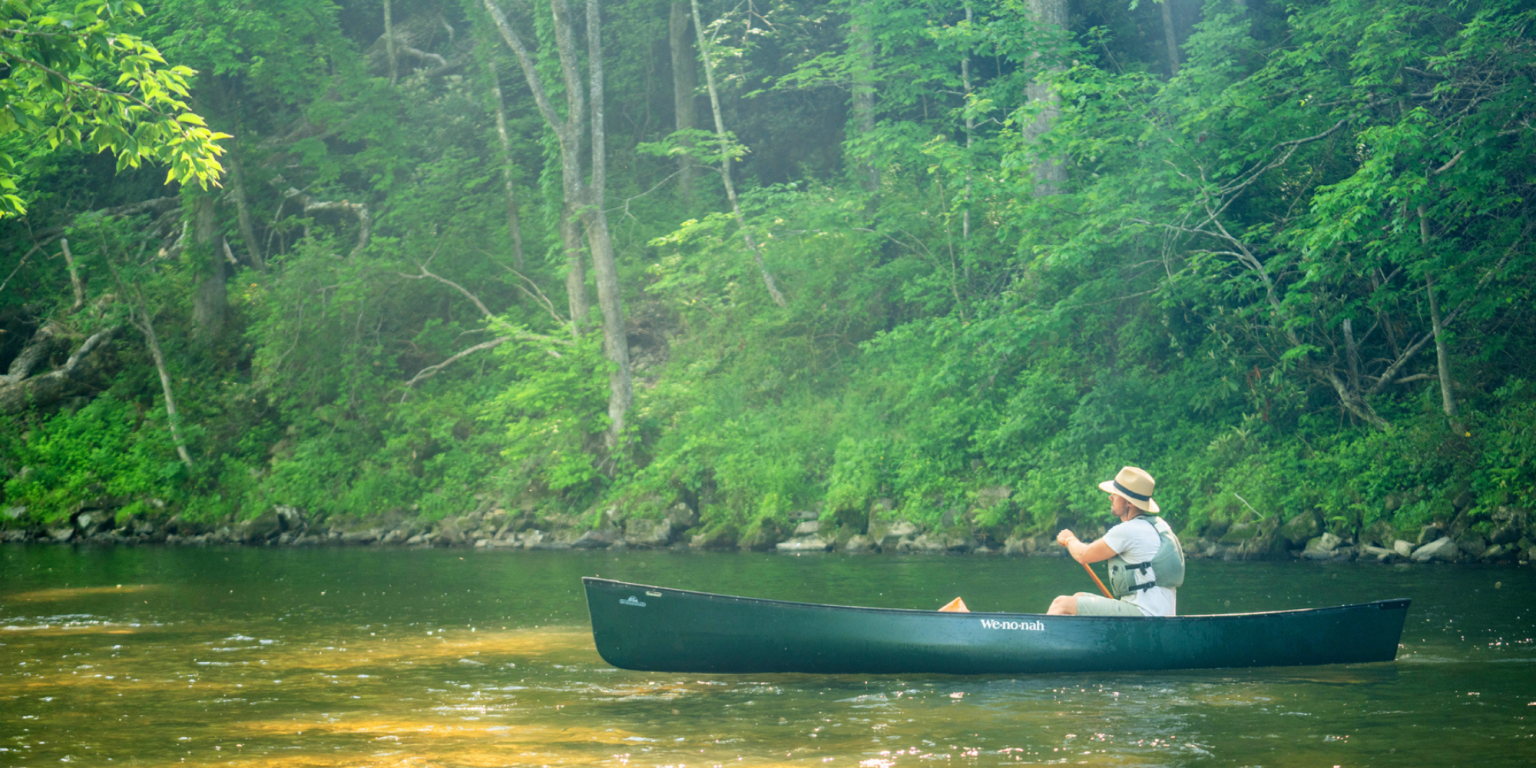 Insider's Guide To The French Broad River