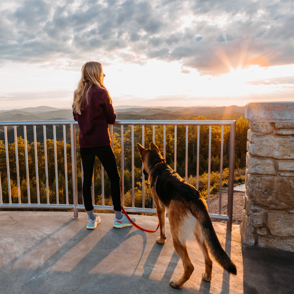 Pet Friendly | Explore Brevard