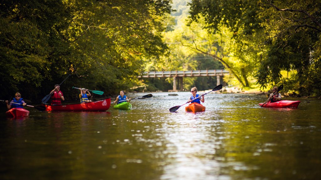 Insider's Guide To Late Summer In Brevard