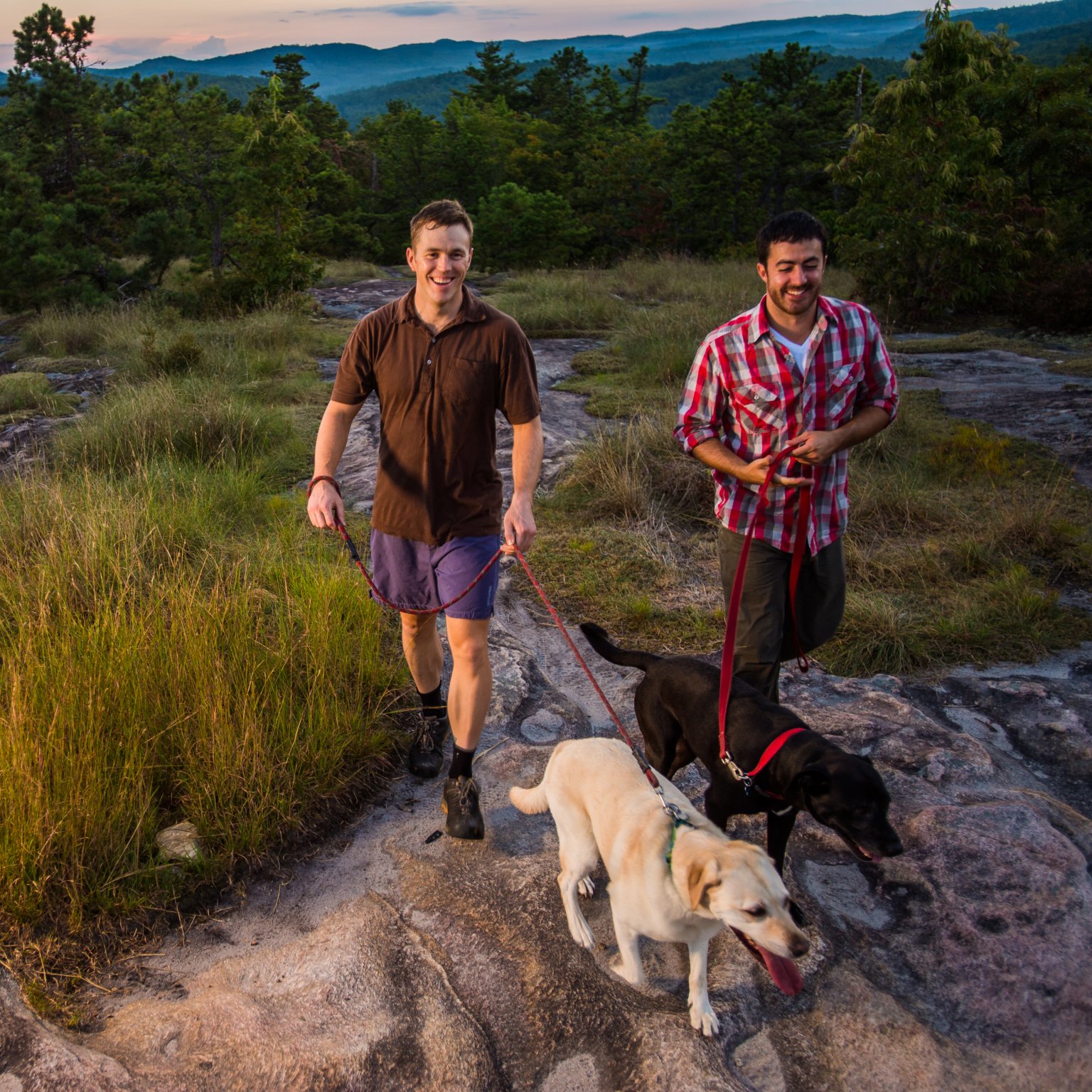 Pet Friendly | Explore Brevard